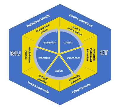 Curriculum // Occupational Therapy // Marquette University